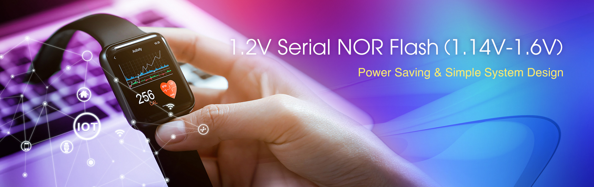 Macronix - Nonvolatile Memory Solutions